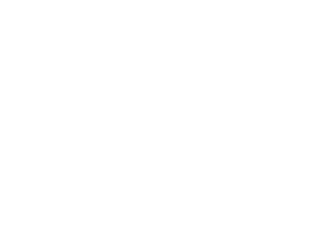 I-Rise Software Training Institute